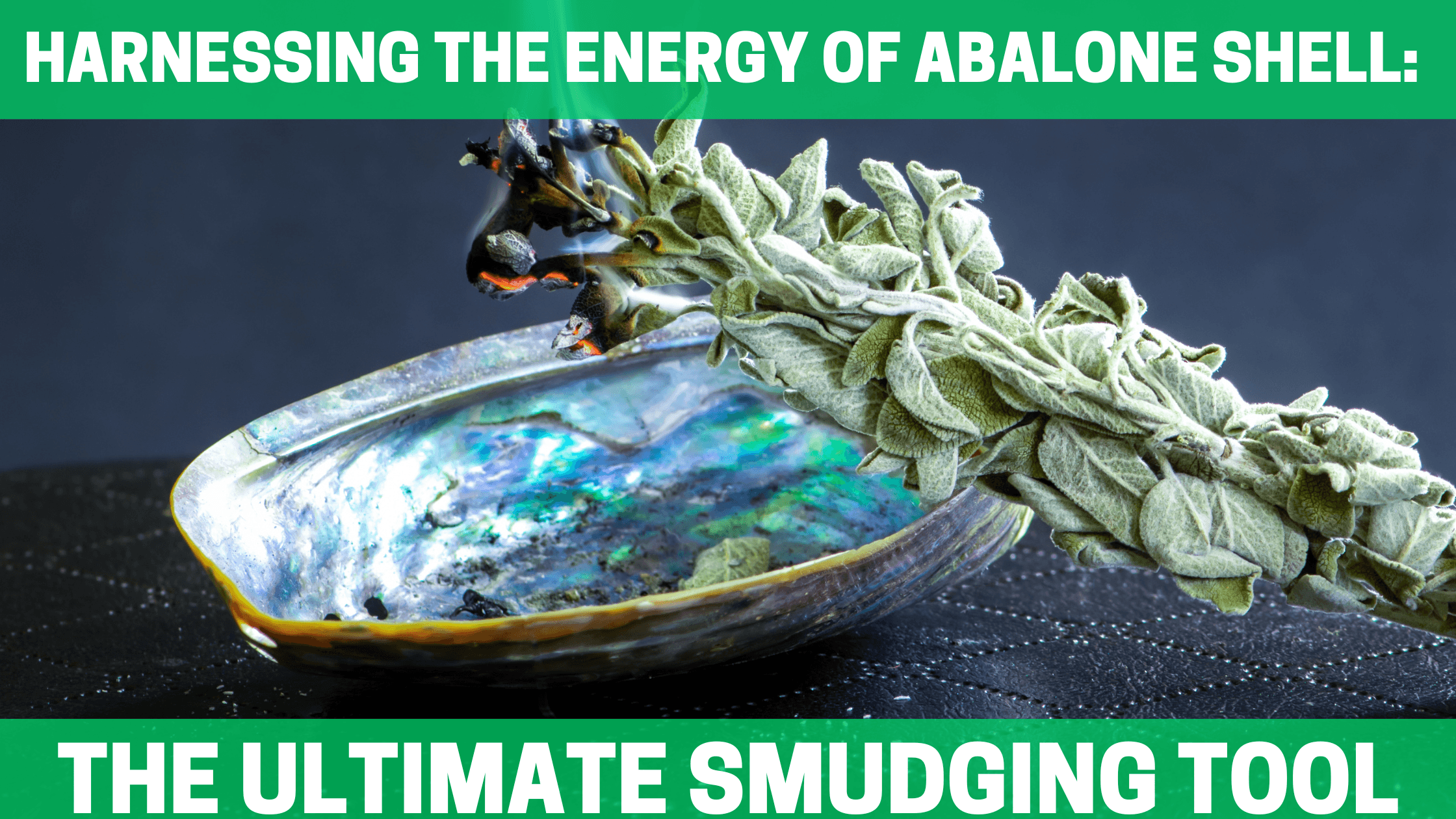 Harnessing the Energy of Abalone Shell: The Ultimate Smudging Tool