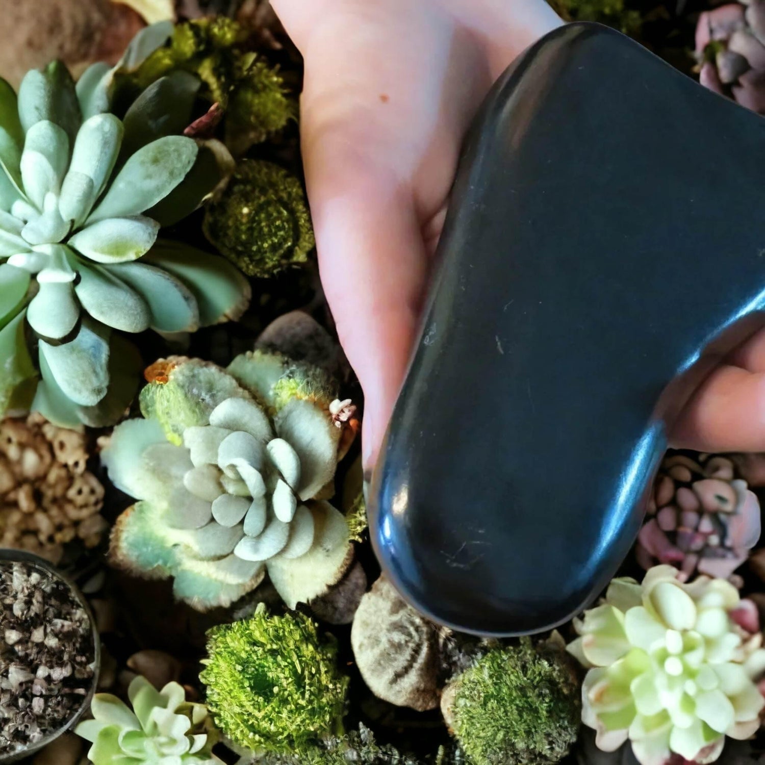 Shungite Tumbled Stone for EMF Protection